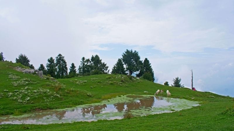 Top Places To Visit In Nathia Gali | Complete Guide In 2024