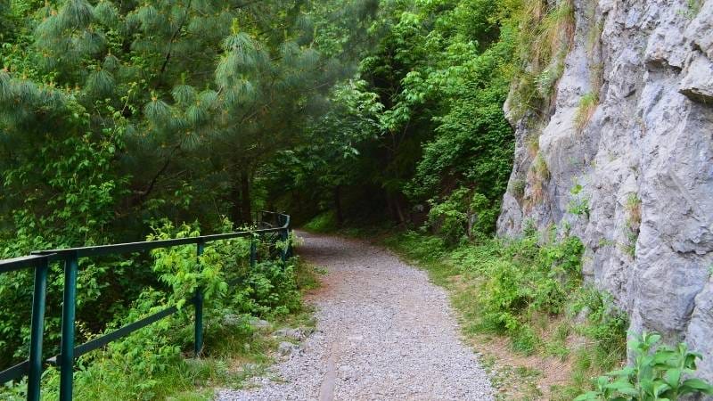 Top Places To Visit In Nathia Gali | Complete Guide In 2024