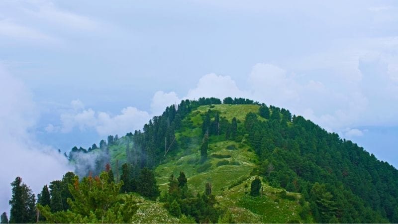 Top Places To Visit In Nathia Gali | Complete Guide In 2024